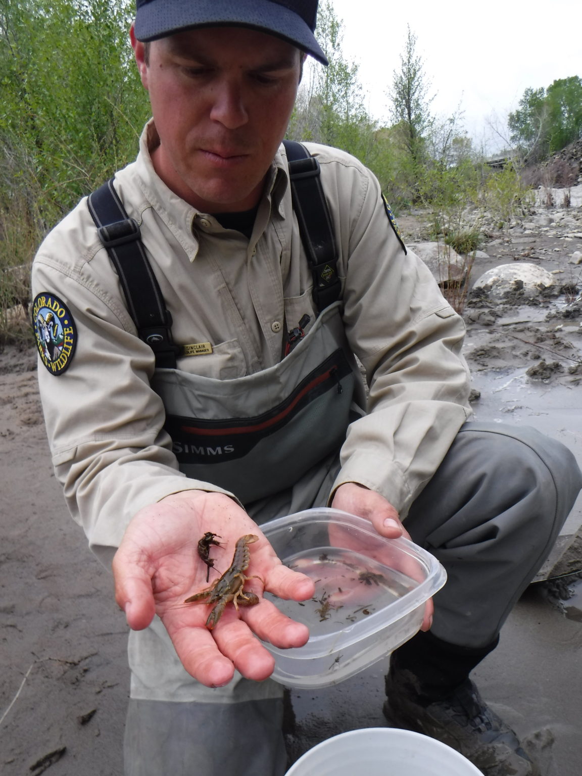 Paonia River Park - Western Slope Conservation Center