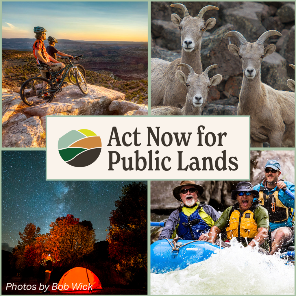 Public Lands Rule- All You Need to Know - Western Slope Conservation Center